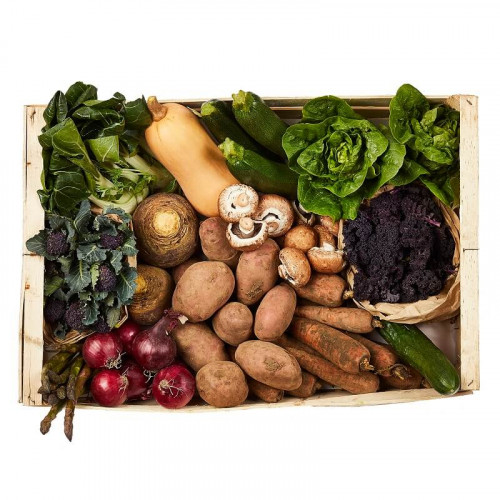 VEGETABLE BOX - LARGE